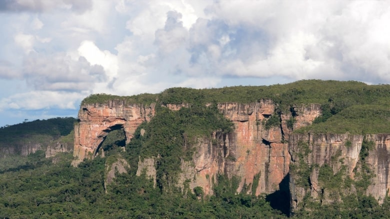The dream of community forestry in the Amazon: An interview with ...