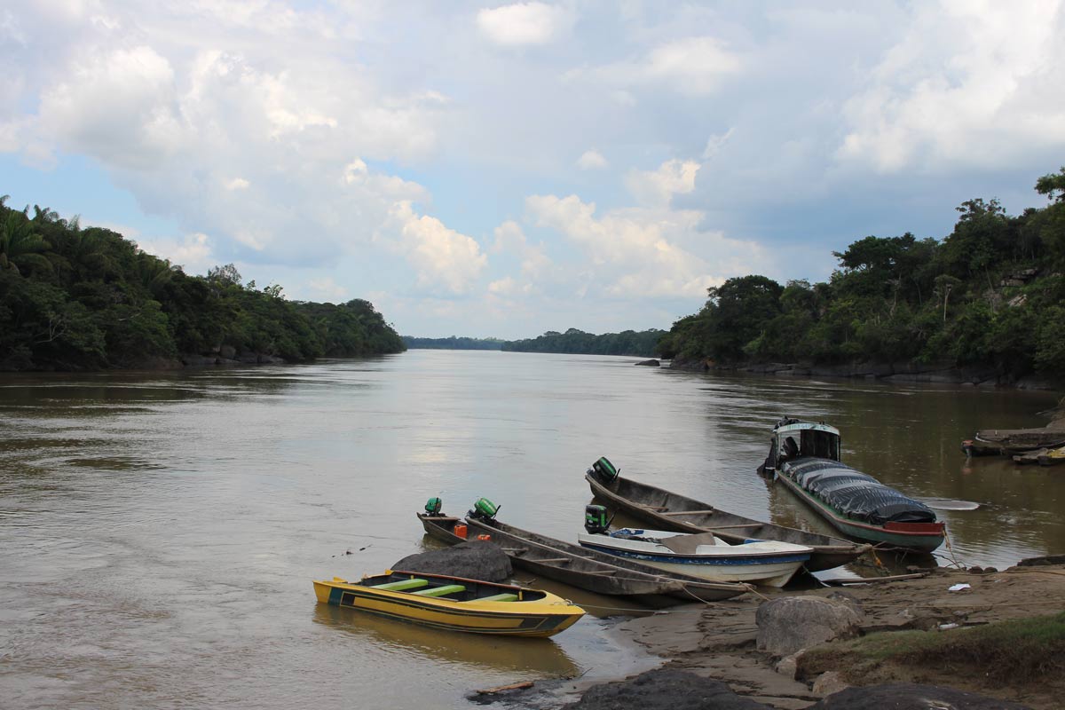 Primera área protegida regional del Guaviare: un puente que conectará ...