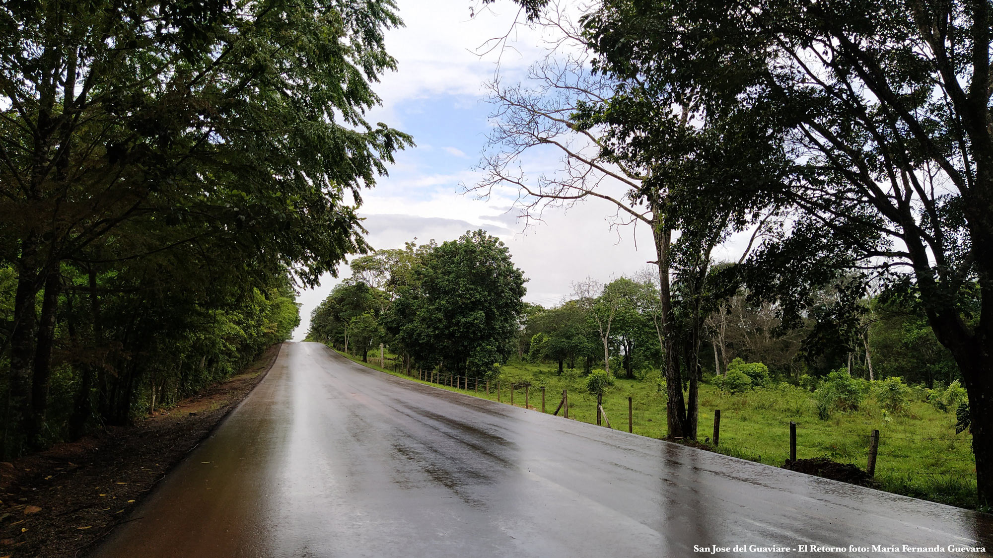 Carreteras verdes: ¿Qué se ha hecho en Colombia? - FCDS - Fundación ...