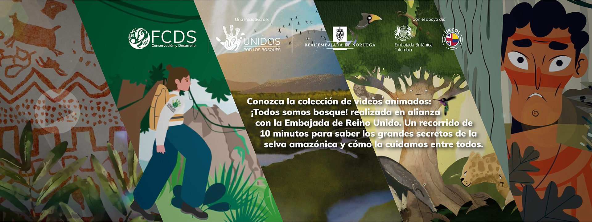 ¡Todos somos bosque! - FCDS - Fundación para la Conservación y el ...