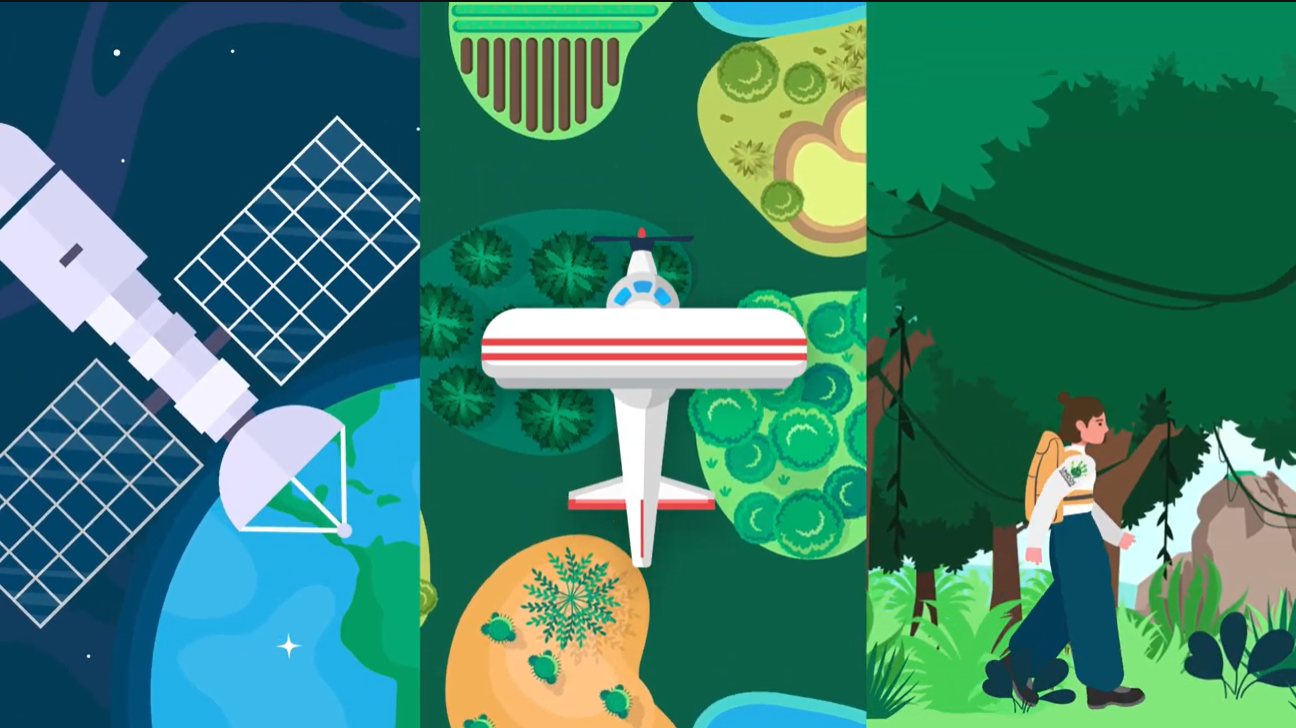 DIARIO DE UN SOBREVUELO - FCDS - Fundación para la Conservación y el ...