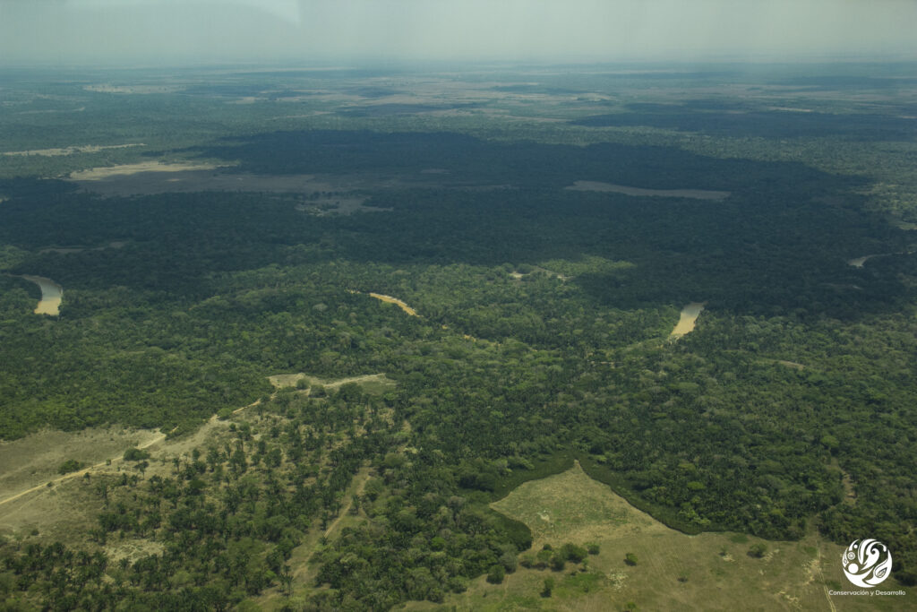 Siete recomendaciones para mejorar la regulación de los mercados de ...