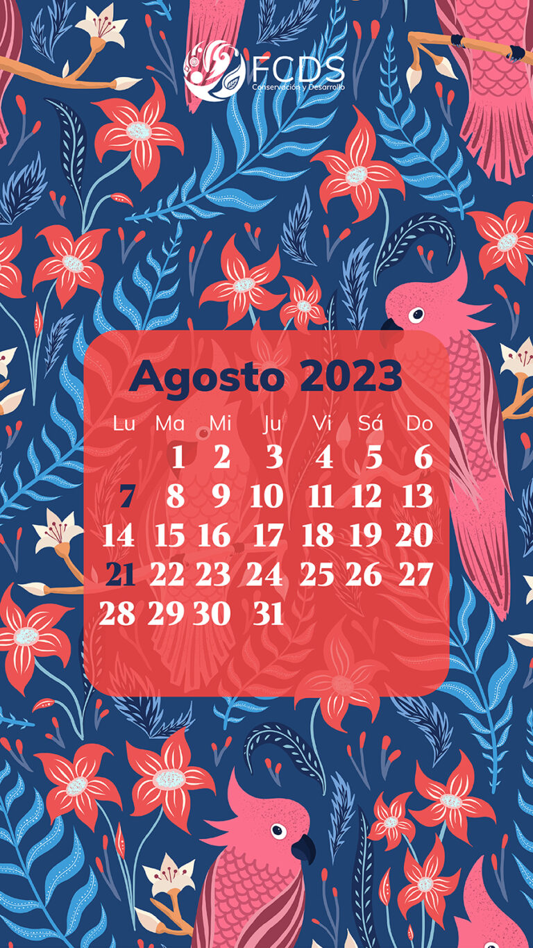 Descargue aquí el calendario de agosto para su celular - FCDS ...