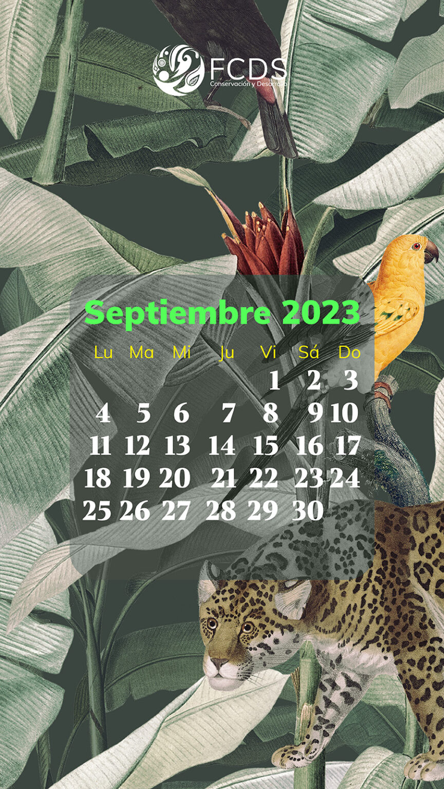 Descargue aquí el calendario de septiembre para su celular - FCDS ...