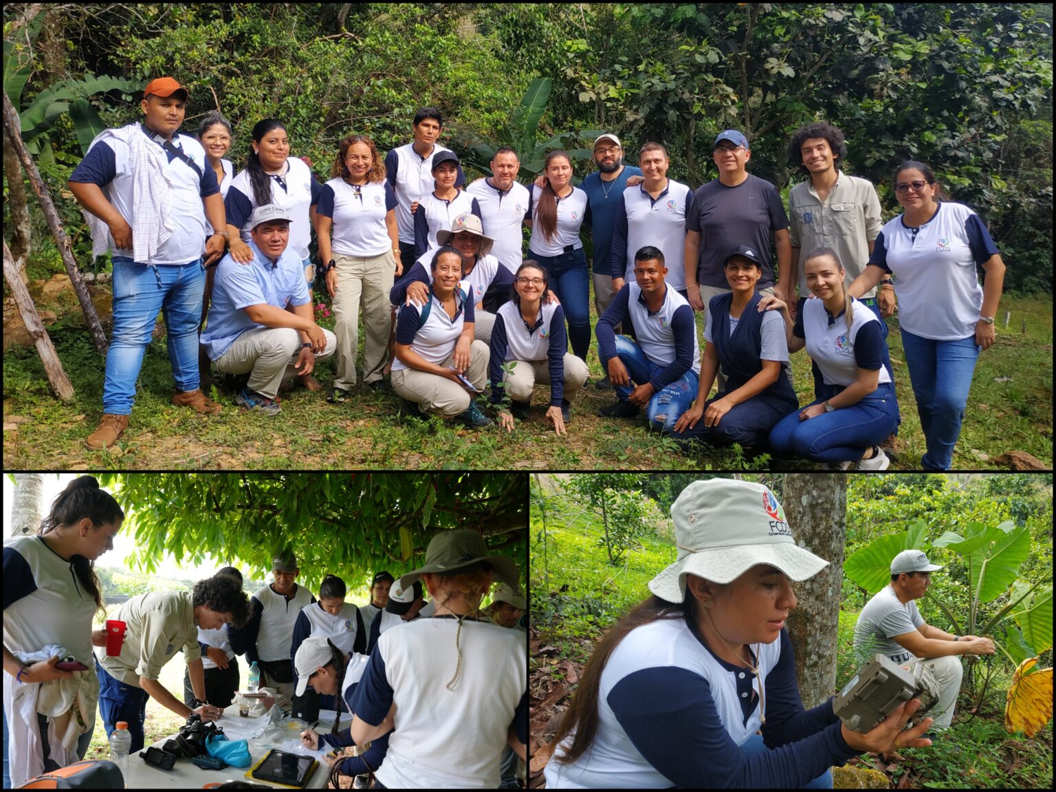 Humboldt y FCDS monitorearán la biodiversidad en los proyectos de ...