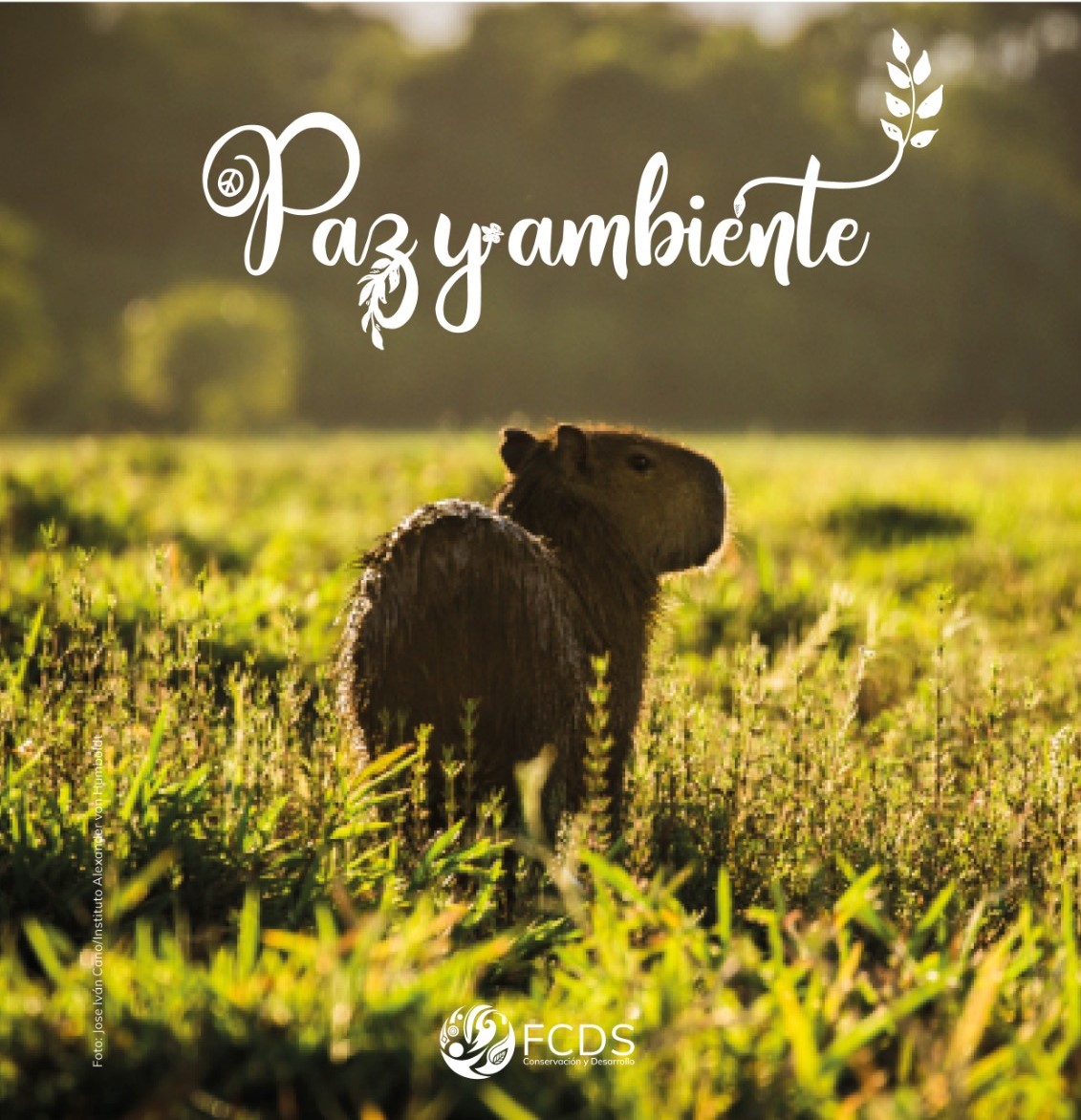 Paz y ambiente - FCDS - Fundación para la Conservación y el Desarrollo ...