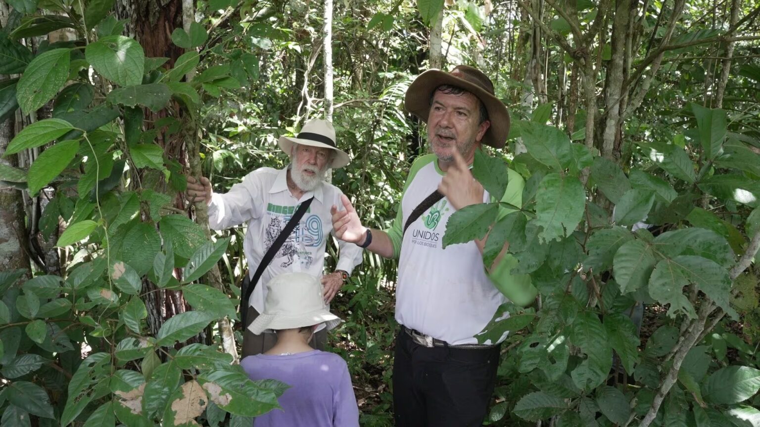 Rodrigo Botero: el escudero de Chiribiquete - FCDS - Fundación para la ...